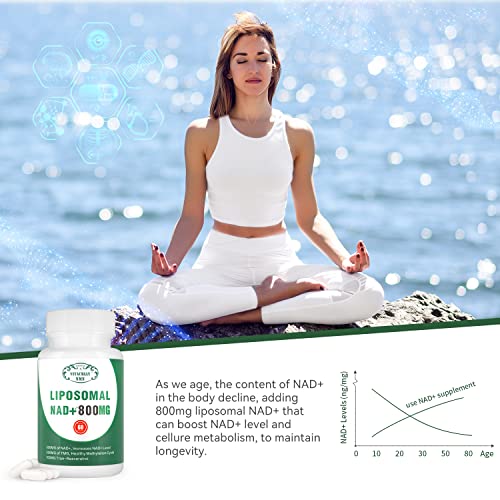 NAD+ for cellular health and repair