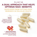 NAD+ for enhanced cognitive function