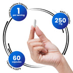 NAD+ for enhanced energy levels