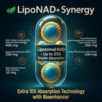 NAD+ multivitamin capsules for vitality