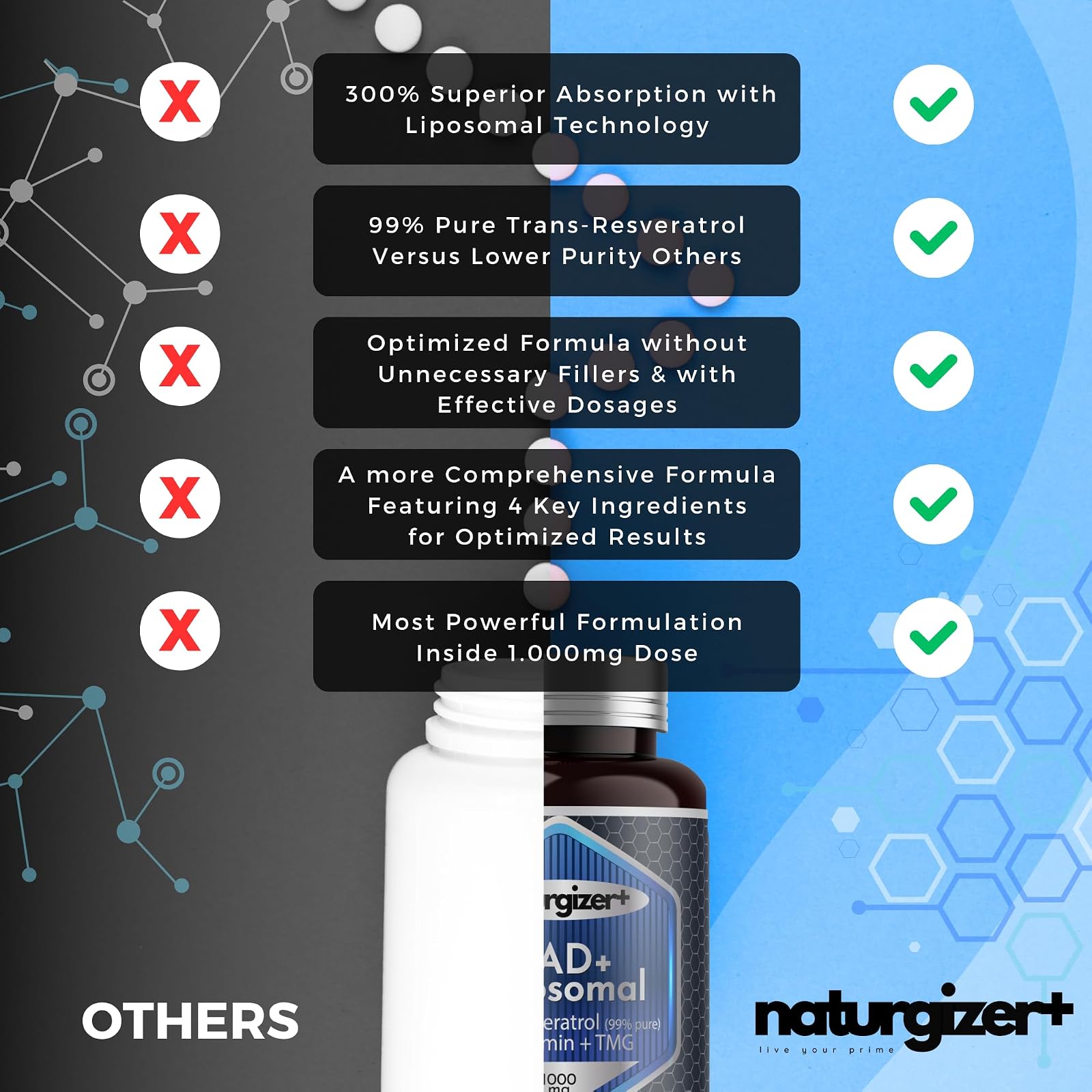 NAD Plus for seniors' vitality