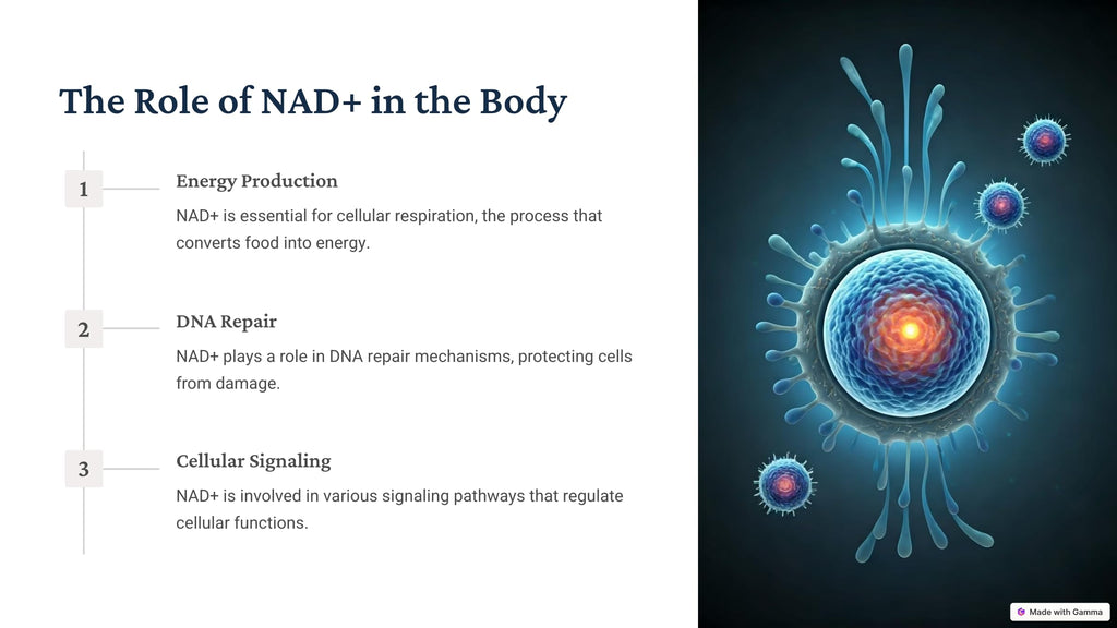 NAD+ resveratrol health benefits