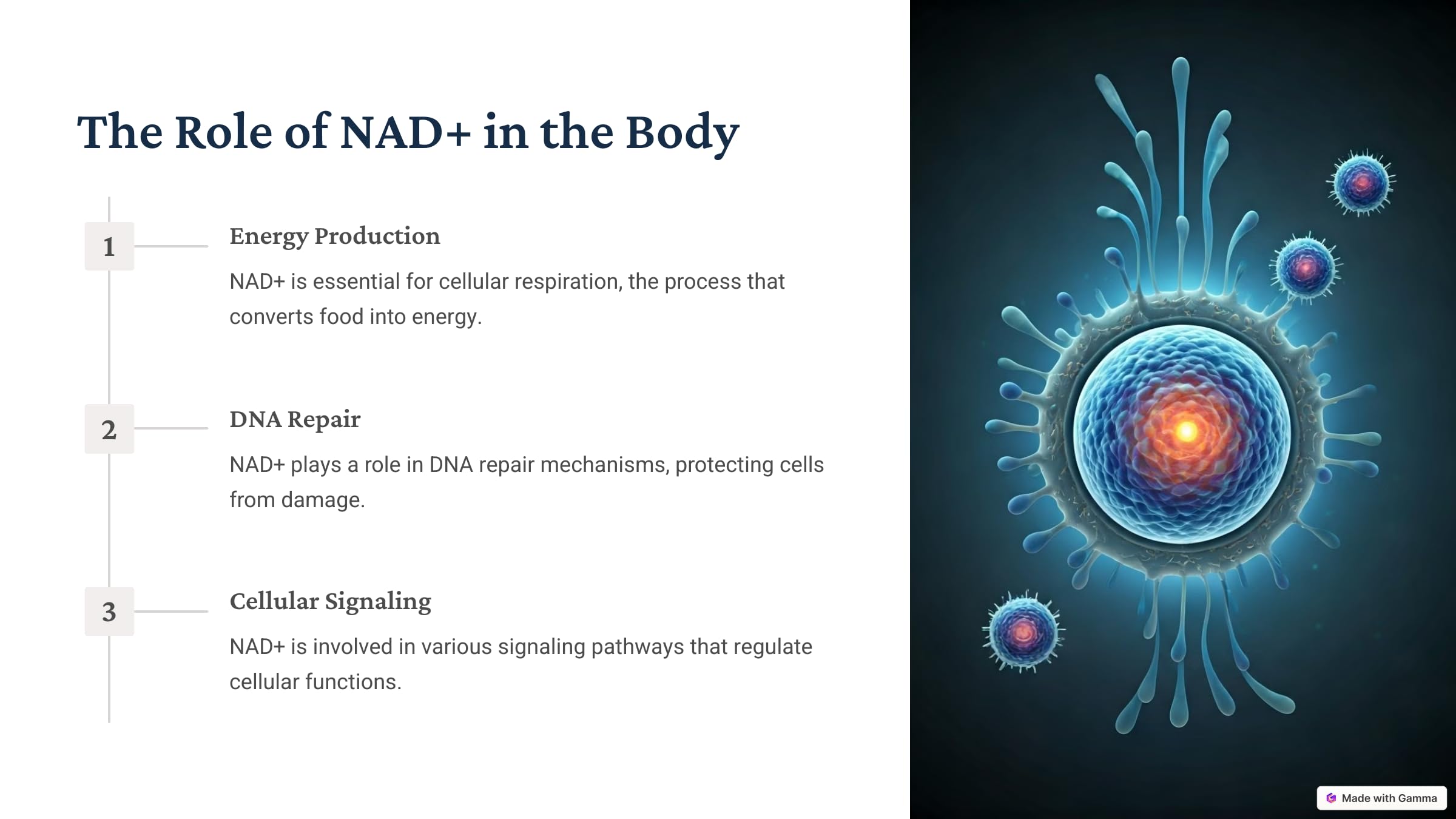 NAD+ resveratrol health benefits