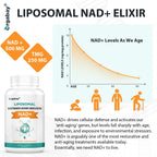 NAD+ supplement for cellular health
