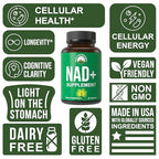 NAD supplement for cellular health