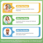 NAD+ supplement for cellular health