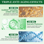 NAD supplement for cellular health