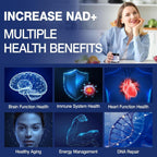NAD+ supplement for cellular health