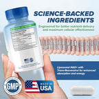 NAD+ supplement for cellular health