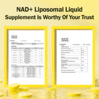 NAD+ supplement for energy boost