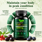 NAD+ supplement for enhanced focus