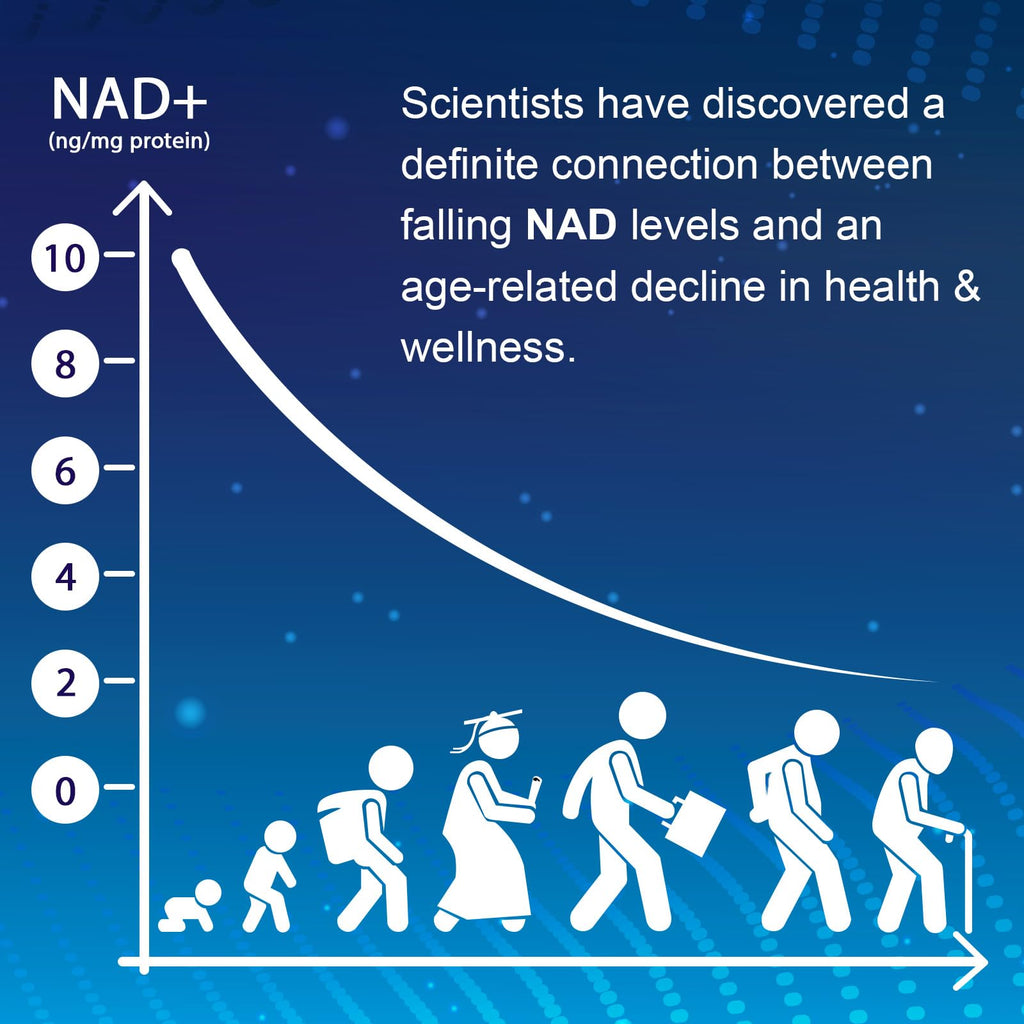 NAD supplement for enhanced metabolism