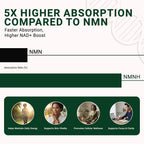 NAD supplement for healthy aging