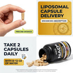 NAD+ supplement for healthy aging