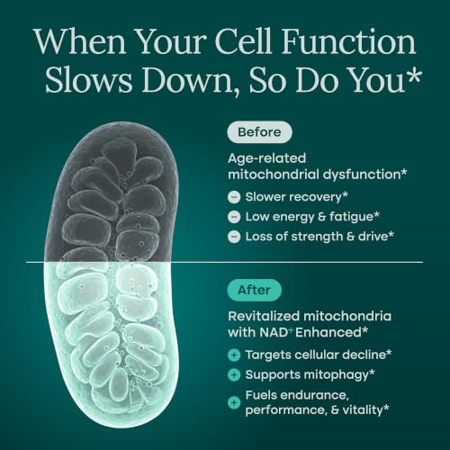 NAD+ supplement for improved metabolism