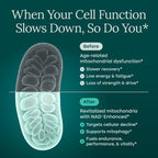 NAD+ supplement for improved metabolism