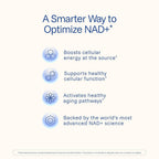 NAD supplement for mental clarity