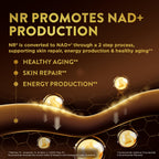 NAD+ supplement for skin health