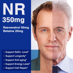 NAD+ supplement supports cellular health