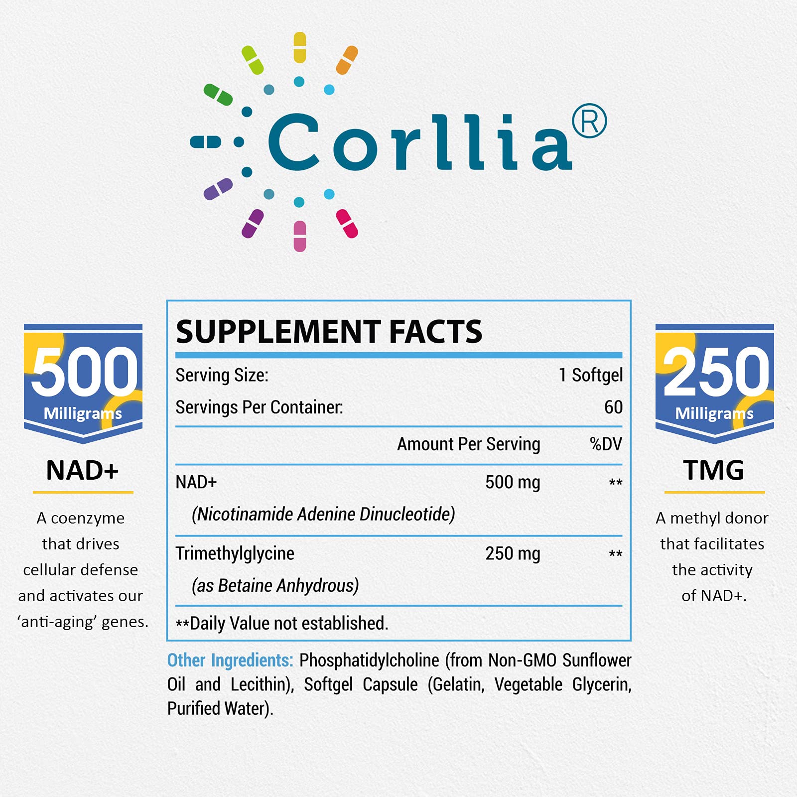 NAD+ supplement with TMG for wellness
