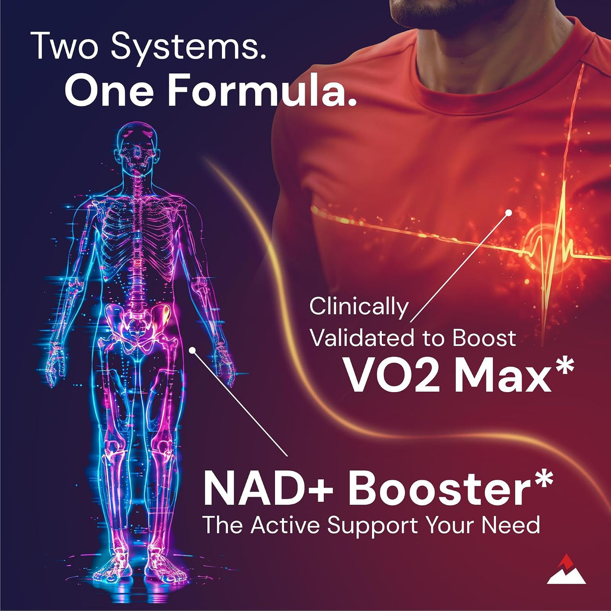 NAD+ support for enhanced endurance