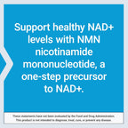 NAD+ support for healthy aging