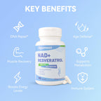 NAD+ support for metabolic function