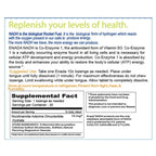 NADH 10 mg vitamin B12 benefits