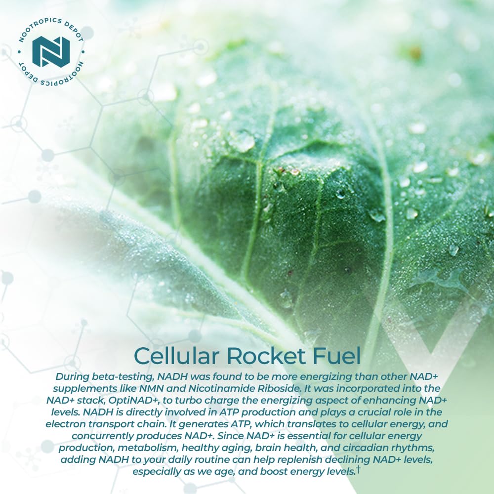 NADH Chlorella capsules for seniors