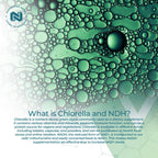 NADH supplement for active lifestyle