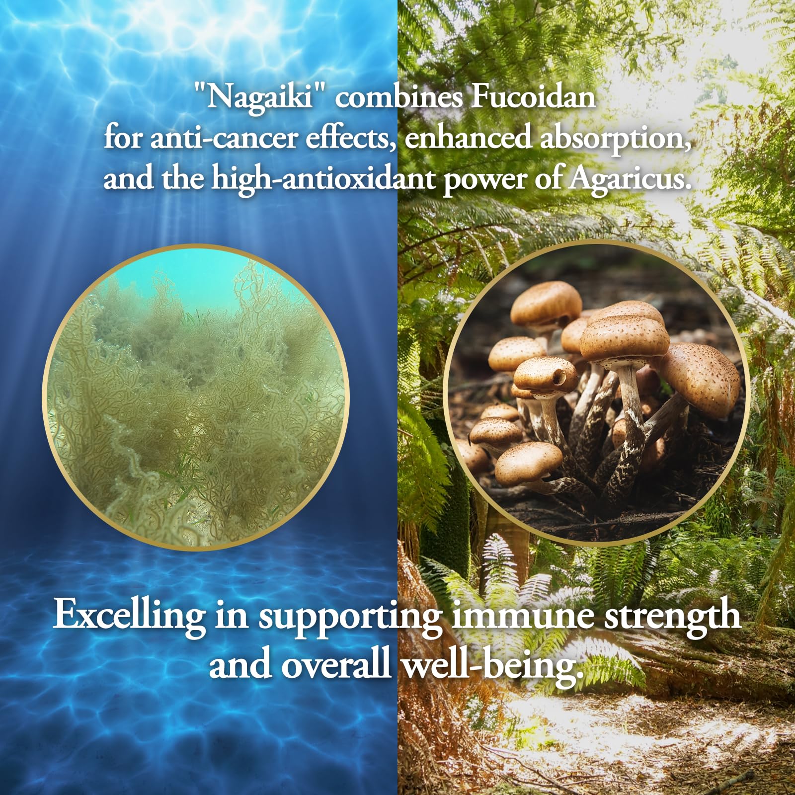Nagaiki Fucoidan for daily nutrition