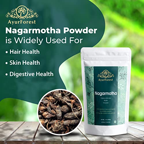 nagarmotha for traditional herbal use