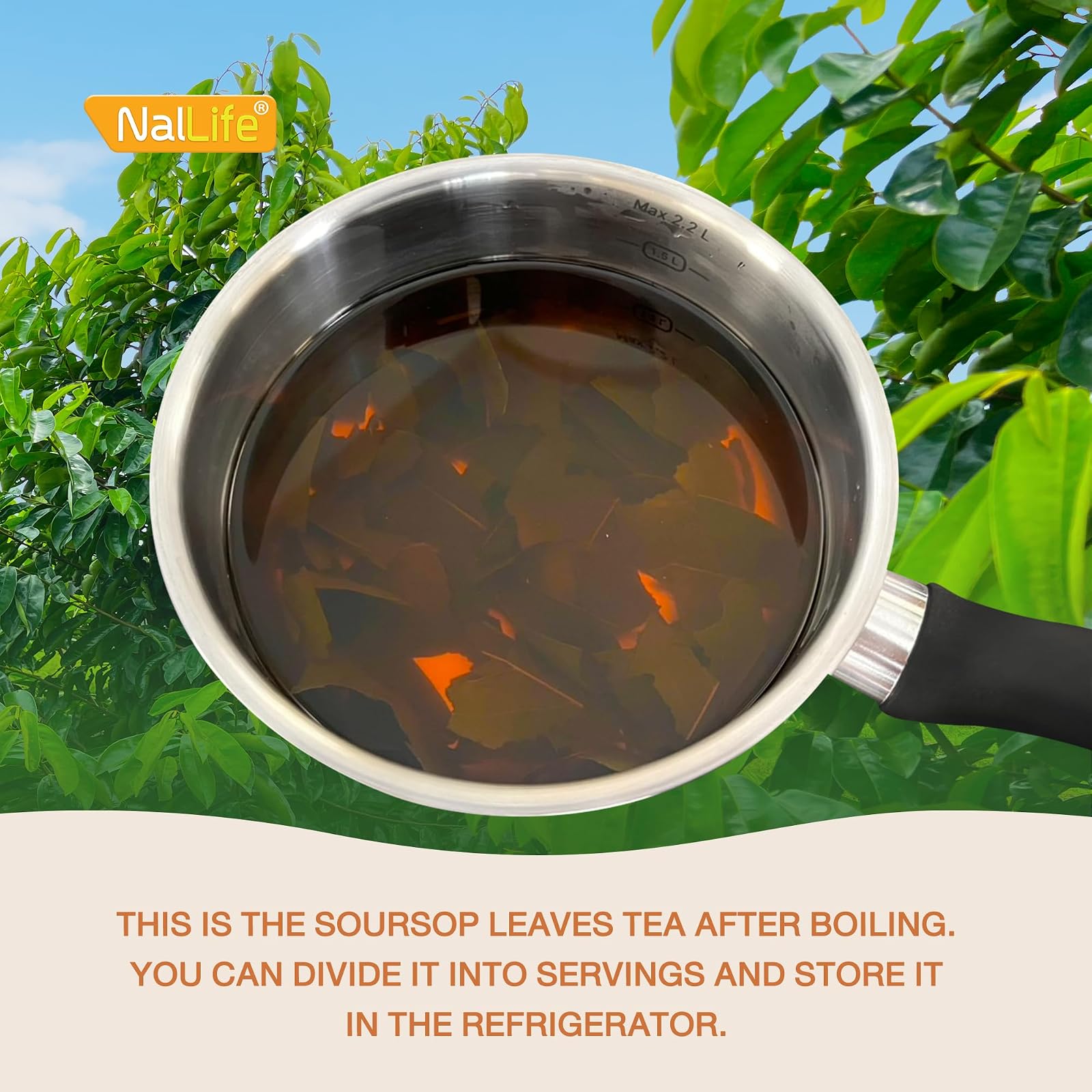 NalLife soursop tea for digestion