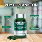 Nannochloropsis phytoplankton energy boost
