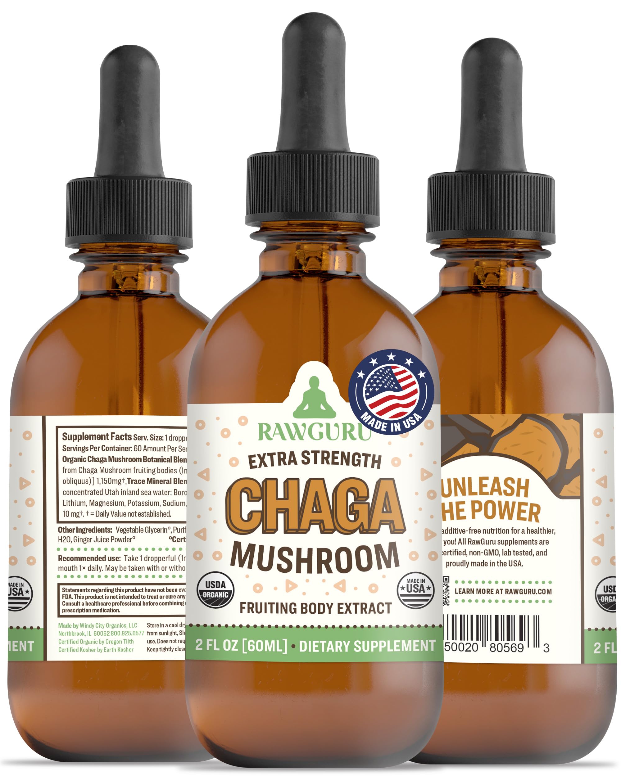 Nano-processed chaga extract for cognitive support