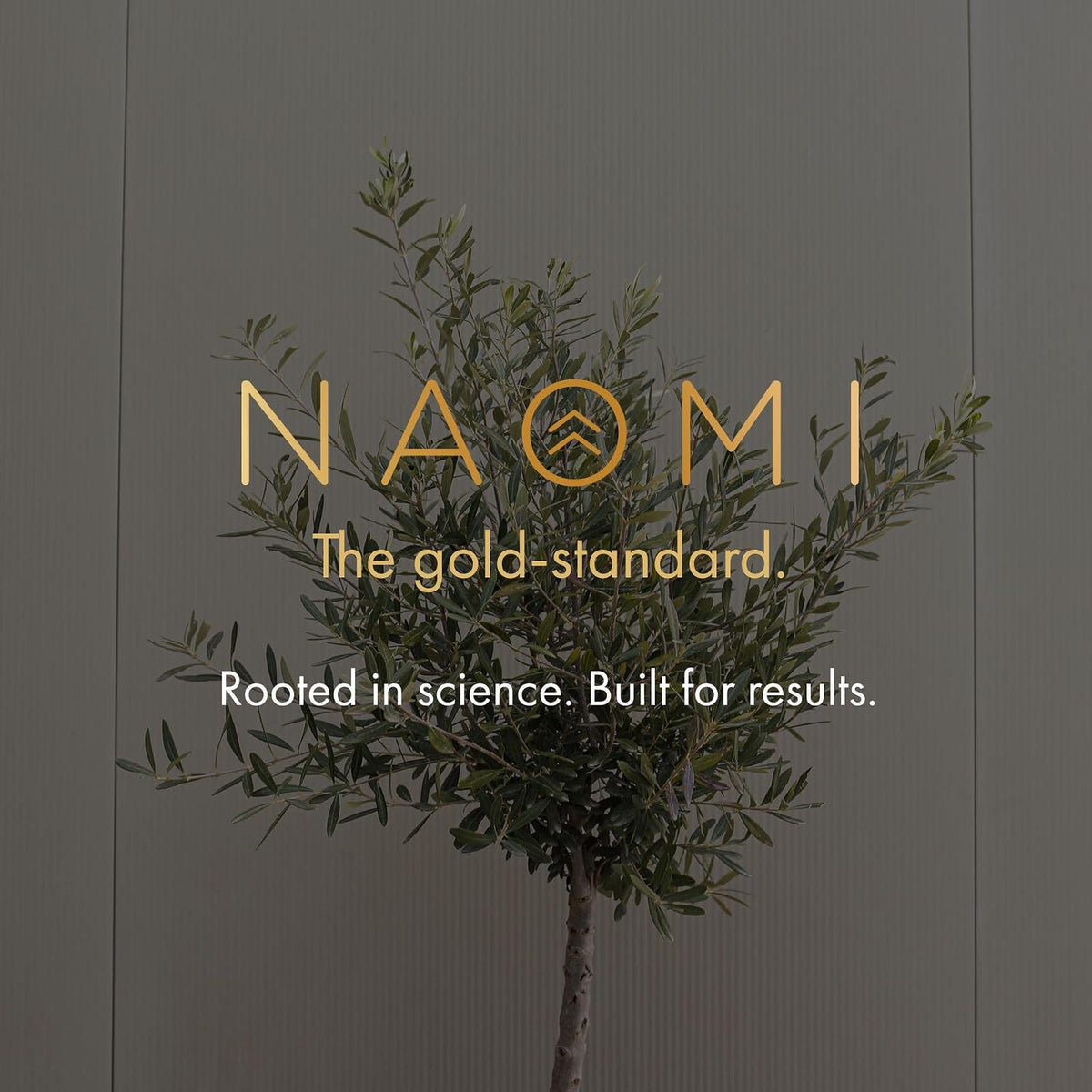 NAOMI BP supplement for wellness