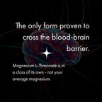 NAOMI magnesium supplement for brain health