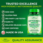 Nattokinase 10800 FU natural supplement