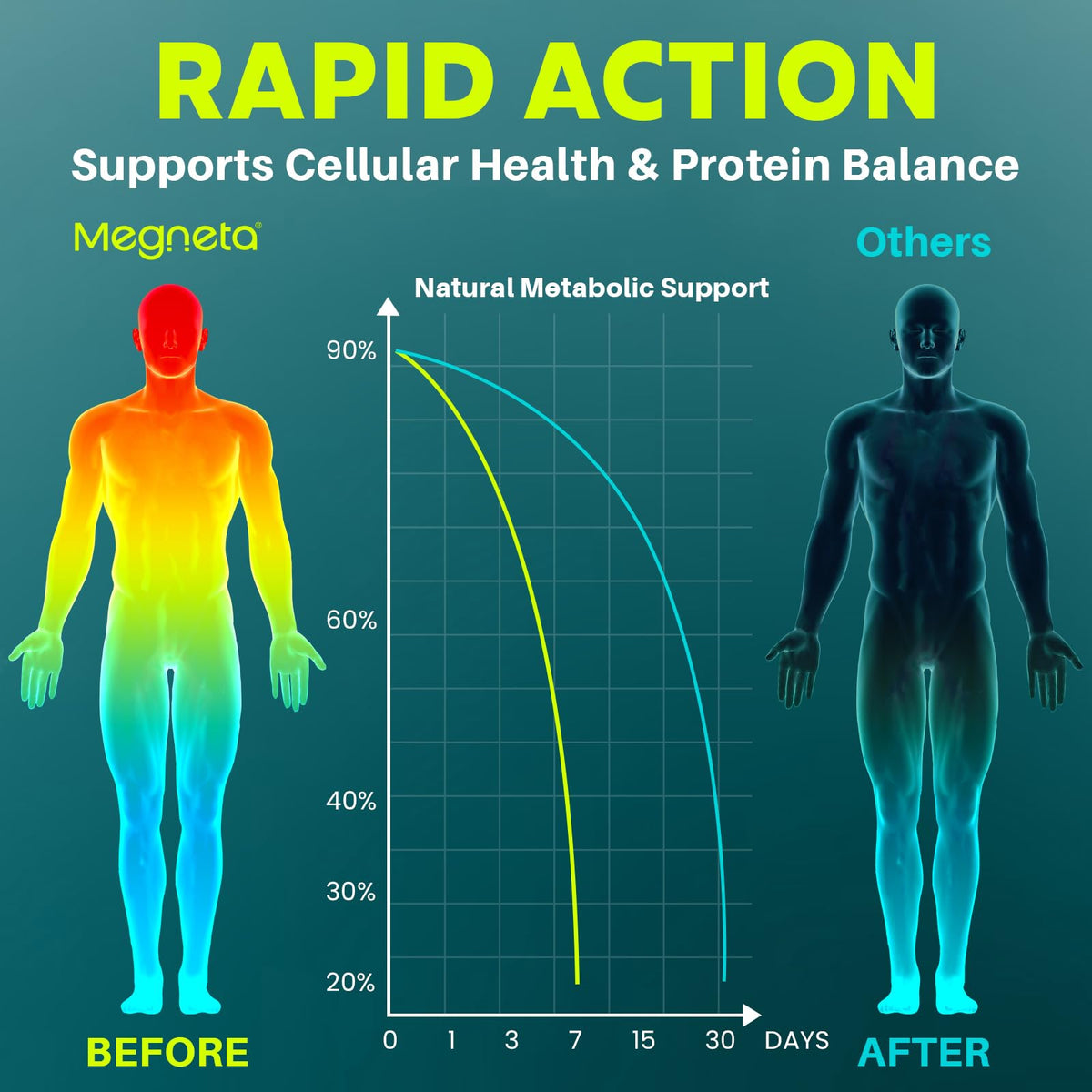 Nattokinase capsules for digestive support