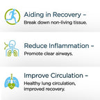 Nattokinase capsules for immune support