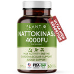 Nattokinase digestive enzymes supplement