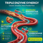 Nattokinase for cardiovascular support