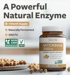 Nattokinase for digestive health support