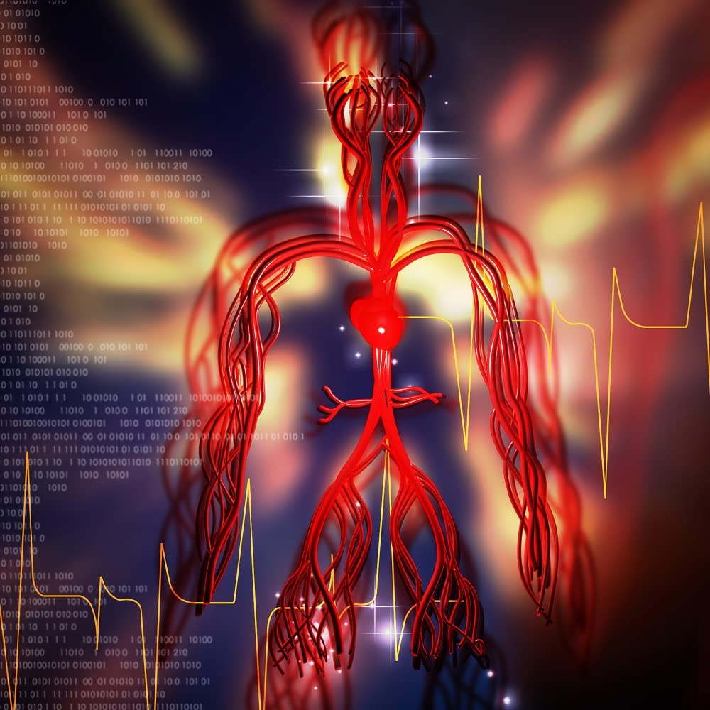 Nattokinase for digestive wellness