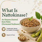 Nattokinase for improved circulation