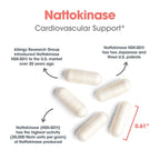 Nattokinase for improved digestion
