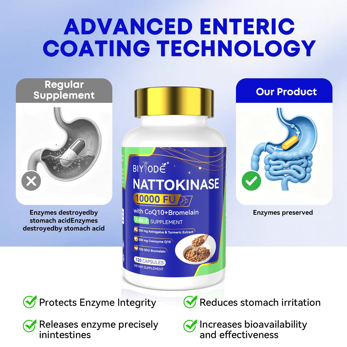 Nattokinase for improved nutrient absorption