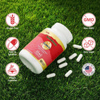 Nattokinase multivitamins for daily wellness