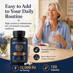 Nattokinase natural enzyme supplement