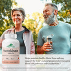 Nattokinase supplement for healthy blood flow